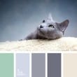 30 Receiving Color Palettes Inspired by Animals you can actually use ...