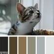 30 Receiving Color Palettes Inspired by Animals you can actually use ...