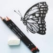 40 Beautiful Simple Butterfly Drawings In Pencil – Hobby Lesson